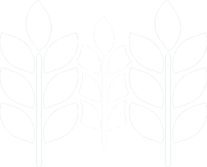 French Fry Colour Chart - Chip Testing - Martin Lishman Ltd