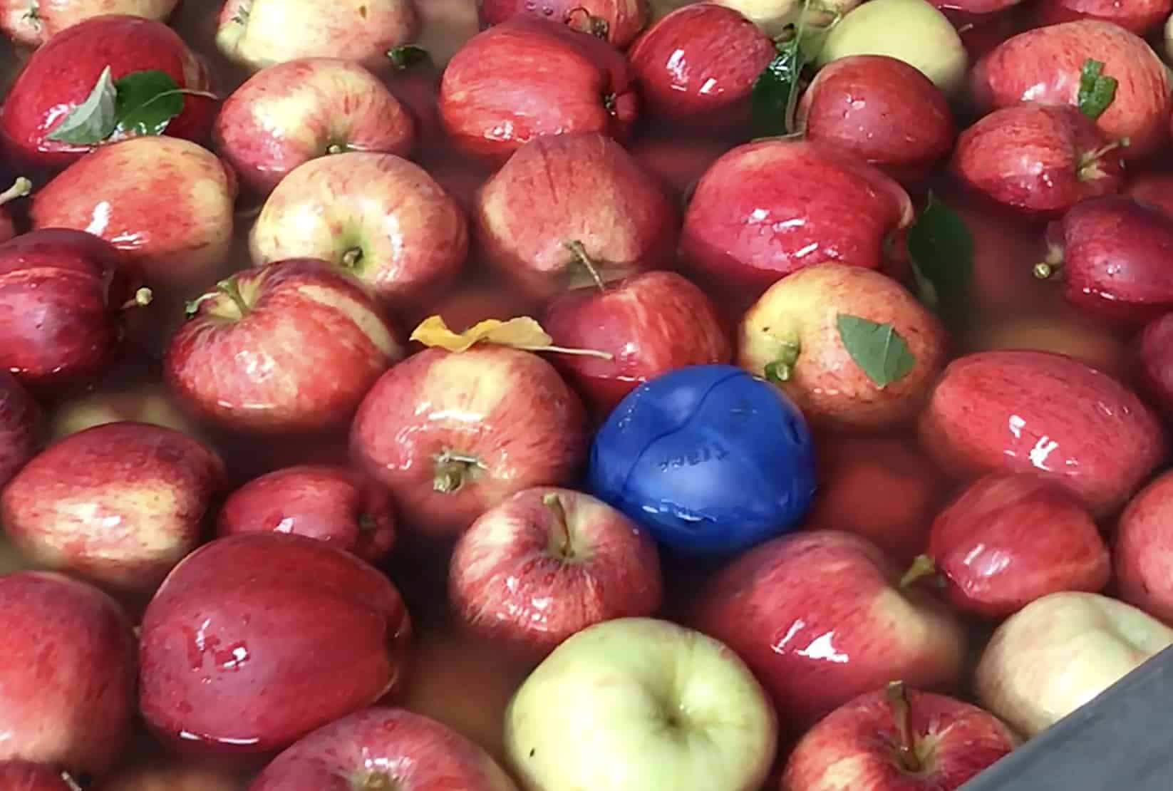 ImpacTrack probado con resultados positivos - Martin Lishman Ltd