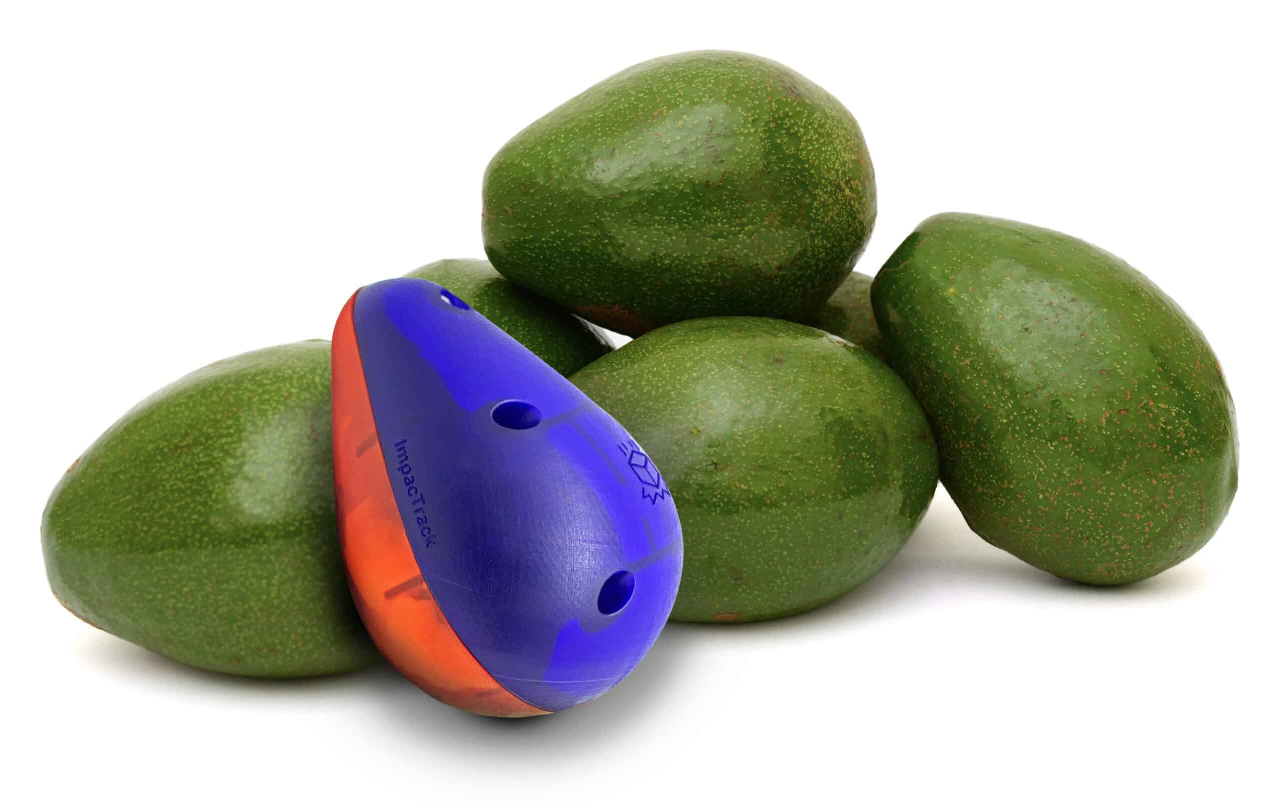 Electronic avocado reveals areas of potential damage
